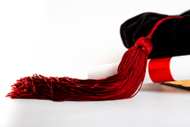 University of the Free State