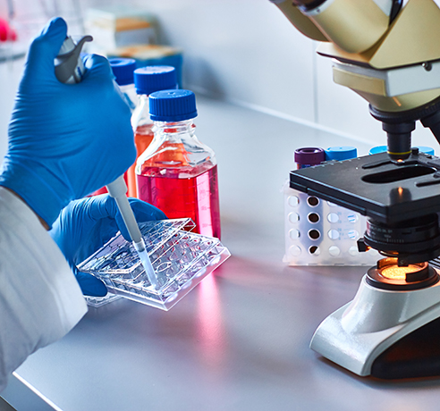 University of the Free State