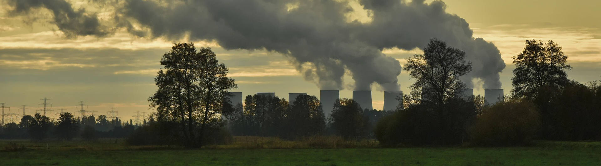 University of the Free State