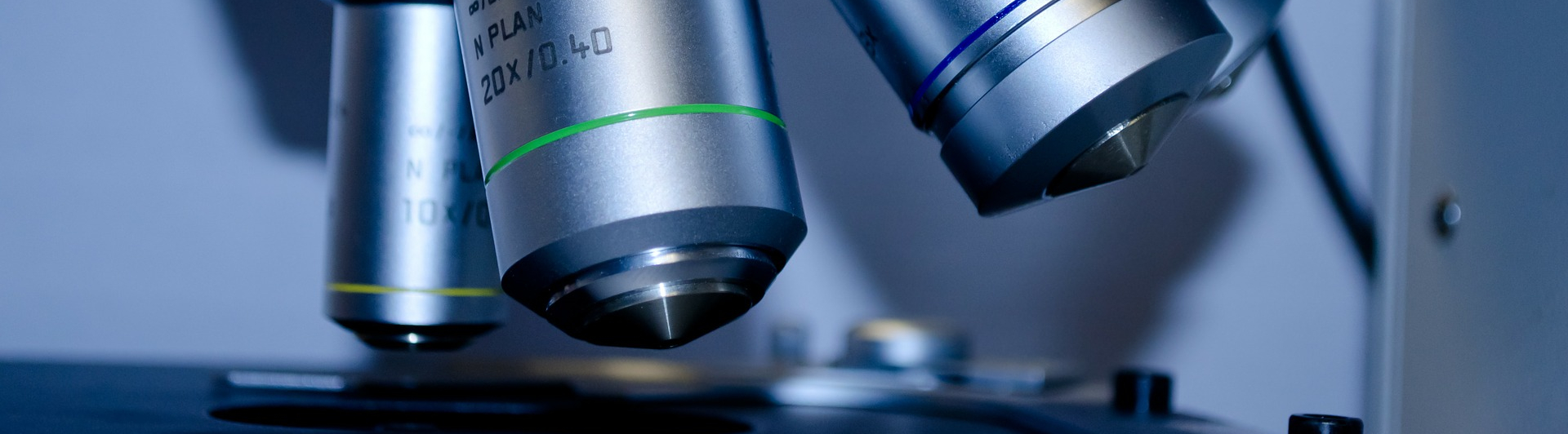 University of the Free State