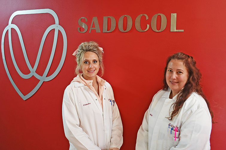 University of the Free State