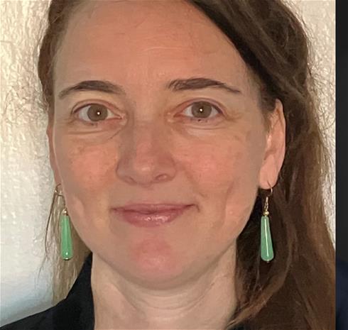 Team of Collaborators