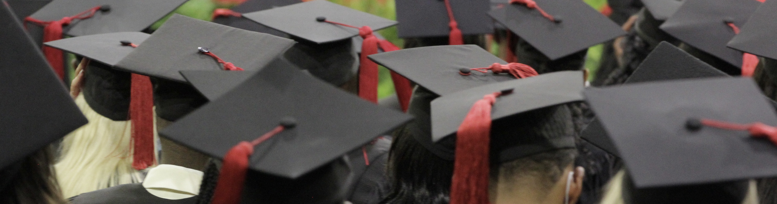 Centre for Graduate Support