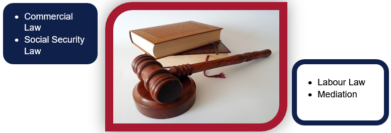 Basic Principles of Labour Law