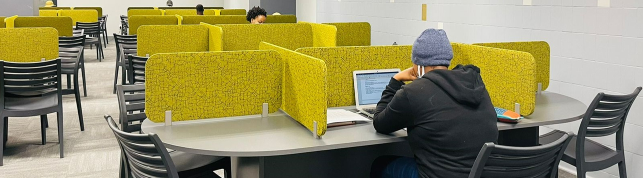 Library and Information Services Home